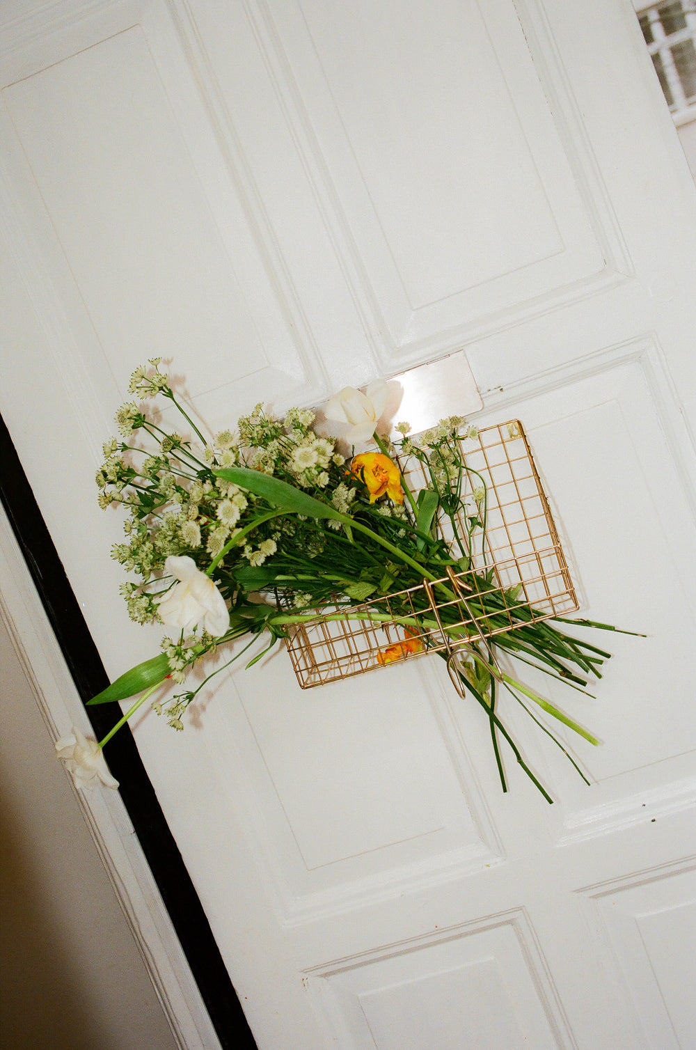 Jeanne top from Baum und Pferdgarten | Egret